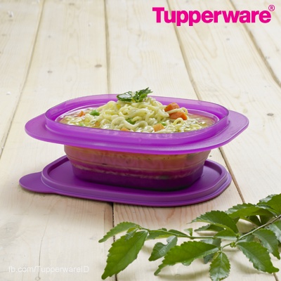 TUPPERWARE GO FLEX RECTANGULAR (850ML) | Shopee Malaysia
