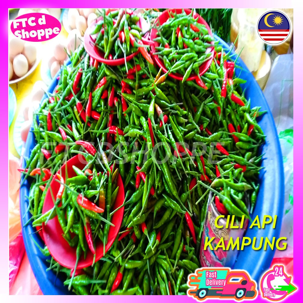 Cili Api , Cabai Burung , Lada Burung Kampung (100g) | Shopee Malaysia