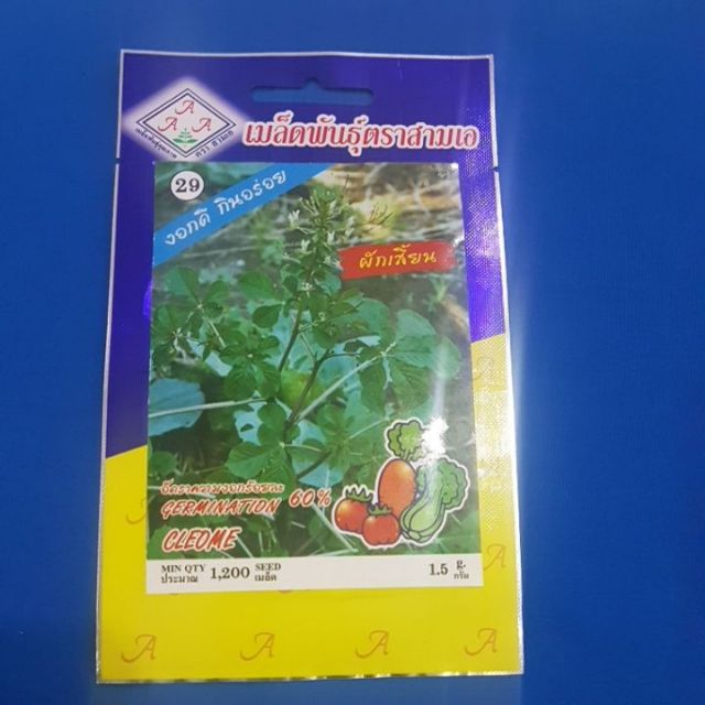 💥LARIS💥Benih pokok maman / Cleome Repack | Shopee Malaysia