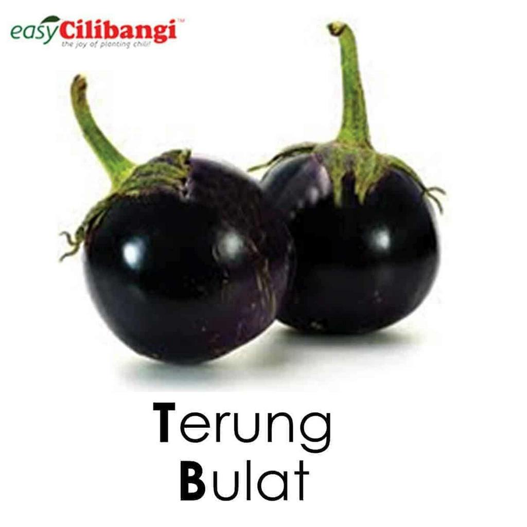 Benih Sayur Terung Bulat | Shopee Malaysia
