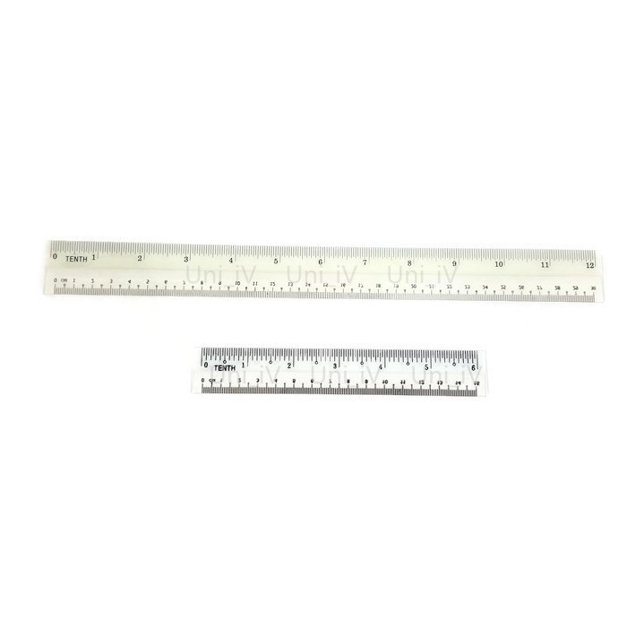 Plastic Straight Ruler 15cm / 30cm in inch and cm Pembaris Plastik | Shopee Malaysia