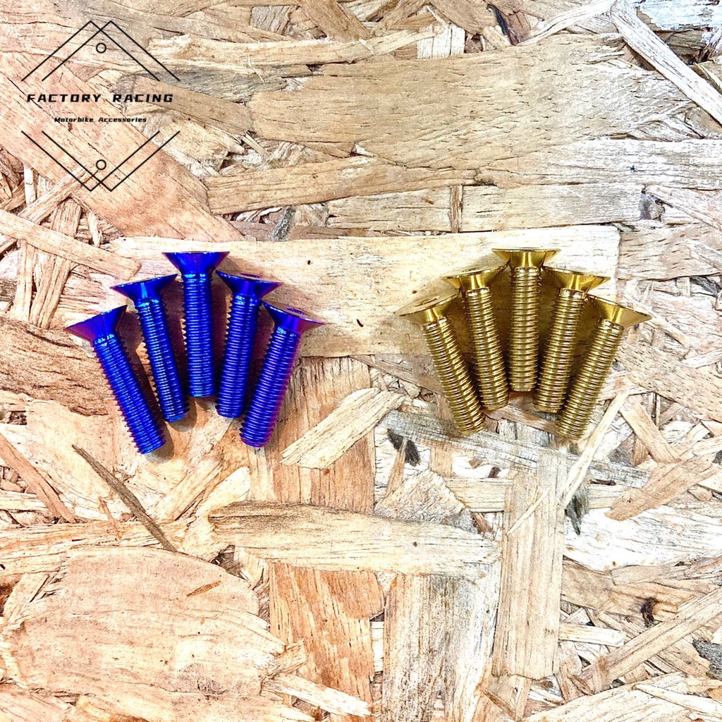 Titanium Screw Counter Sunk - M6 x 25 (1 pcs) | Shopee Malaysia