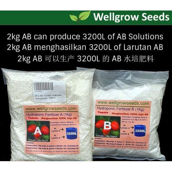 2kg Baja AB / 3200L [Tomato] Fertigasi Hydroponic Tanaman Tomato ...