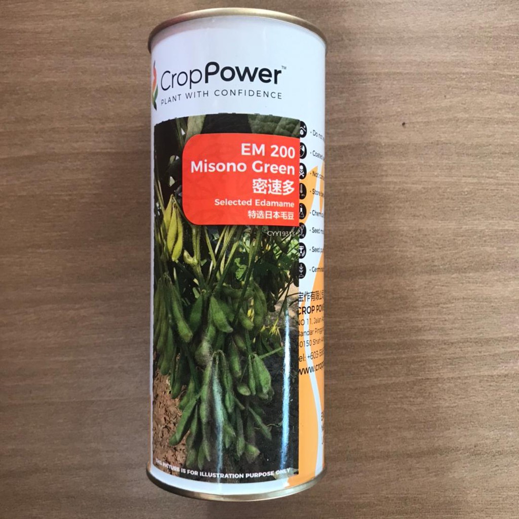 🔥🔥BIG SALES🔥🔥200G Biji Benih Edamame Jepun / Edamame seeds / 日本毛豆种子 ...