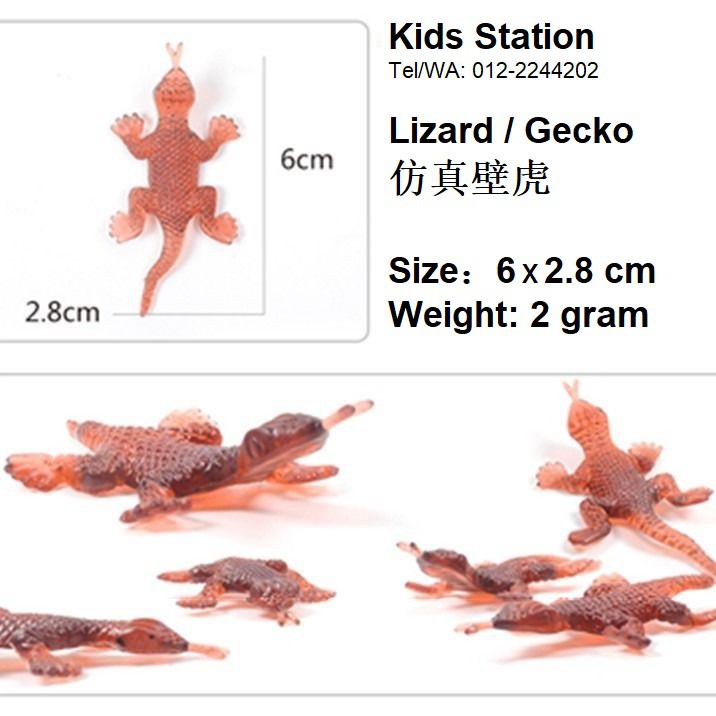 【Ready Stock in M'sia] 10pcs Insect Family Collection & Prank Funny ...