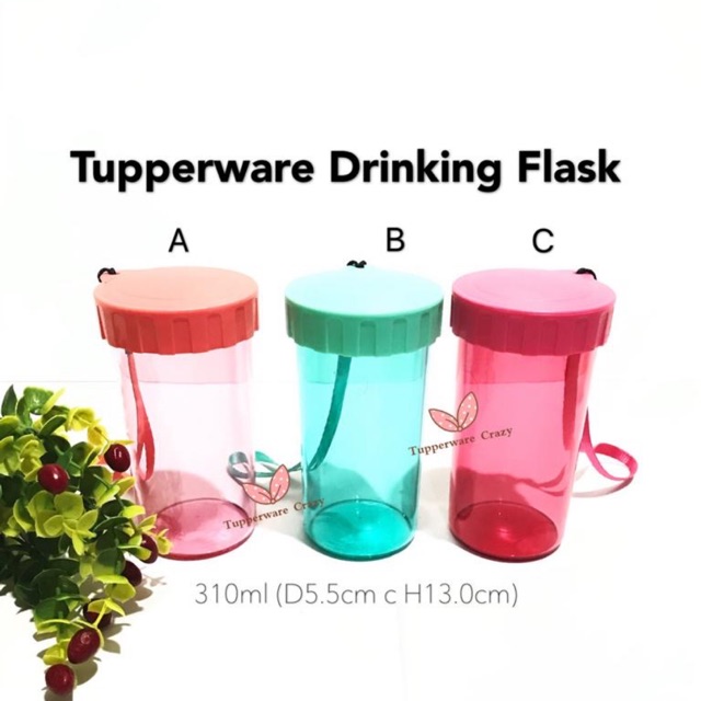 🔥Tupperware Drinking Flask 310ml (1pc)🔥 | Shopee Malaysia