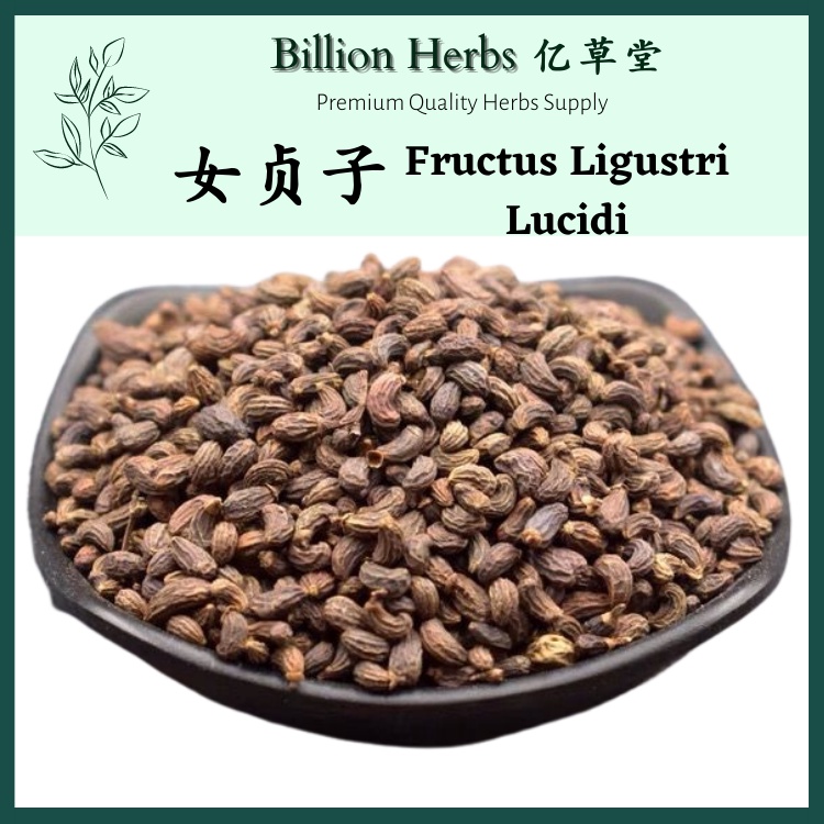 亿草堂 Billion Herbs 女贞子 100g Fructus Ligustri Lucidi / 中药材 Chinese Herbs ...