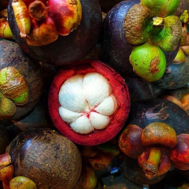 1KG BUAH MANGGIS MANIS | BUAH SETOR- MANGOSTEEN READY STOCK | Shopee ...
