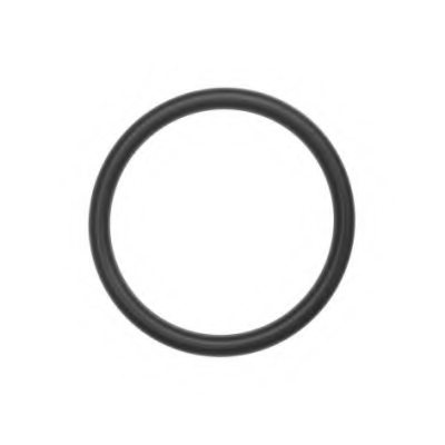 03C121119 THERMOSTAT HOUSING O-RING FOR AUDI A1 / VW BEETLE GOLF MK6 ...