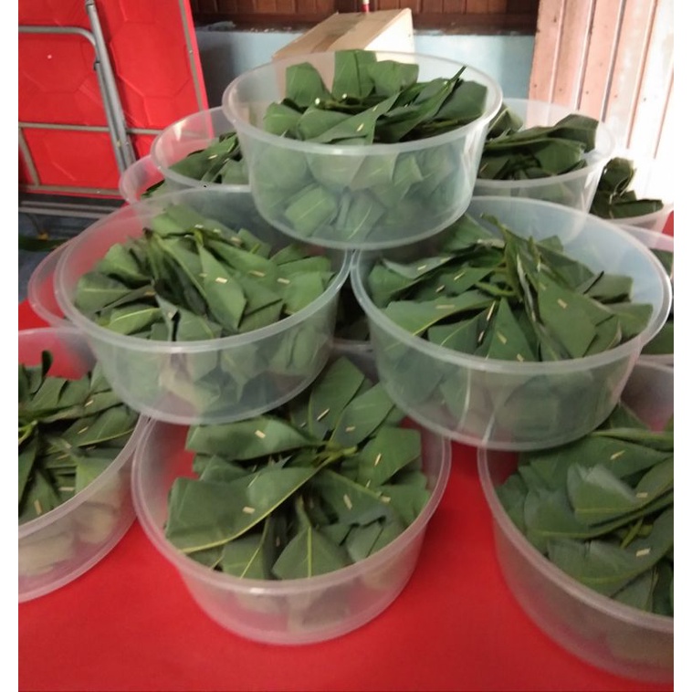 Tapai Pulut Daun Getah (30 pcs) | Shopee Malaysia