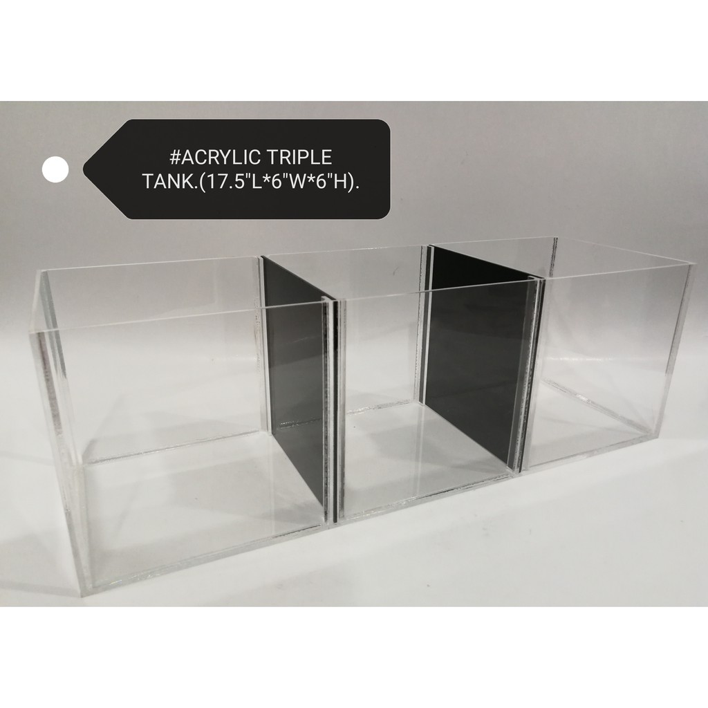 Acrylic Triple Tank with Divider Betta Fish Aquarium 45.5cm x 15.5cm x ...