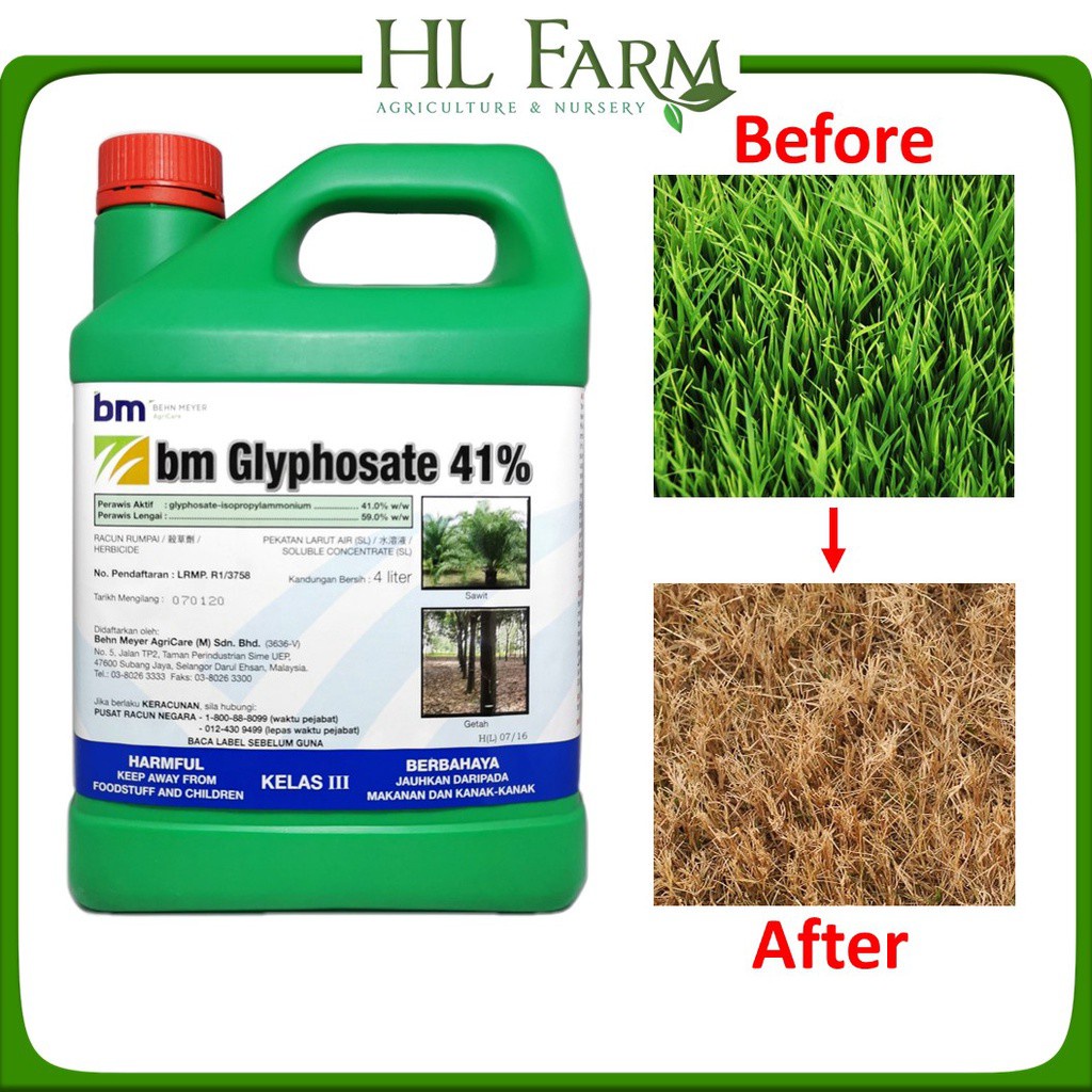 BM Glyphosate 41% / Racun Rumput / Lalang / BM / Kebun / Plantation ...
