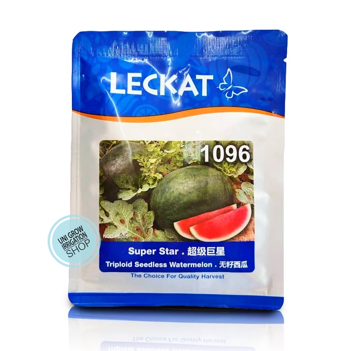 (20gm) +-250 Biji F1 Super Star 1096 Tembikai Tanpa Biji Benih Leckat / Seedless Watermelon ...