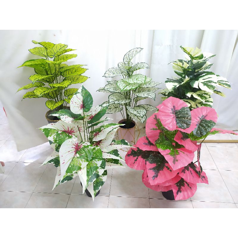 caladium/monstera New artificial plant | Shopee Malaysia