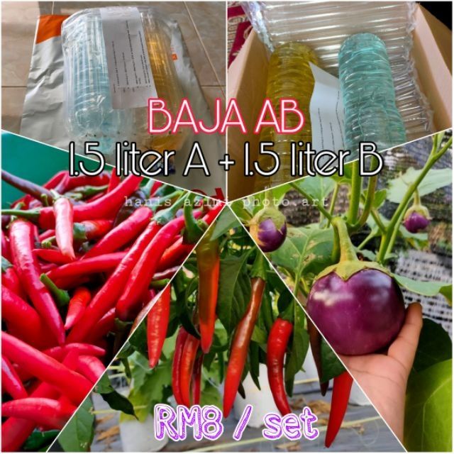 Set Baja AB #sayur #cili #terung #pokok_hiasan #baja | Shopee Malaysia