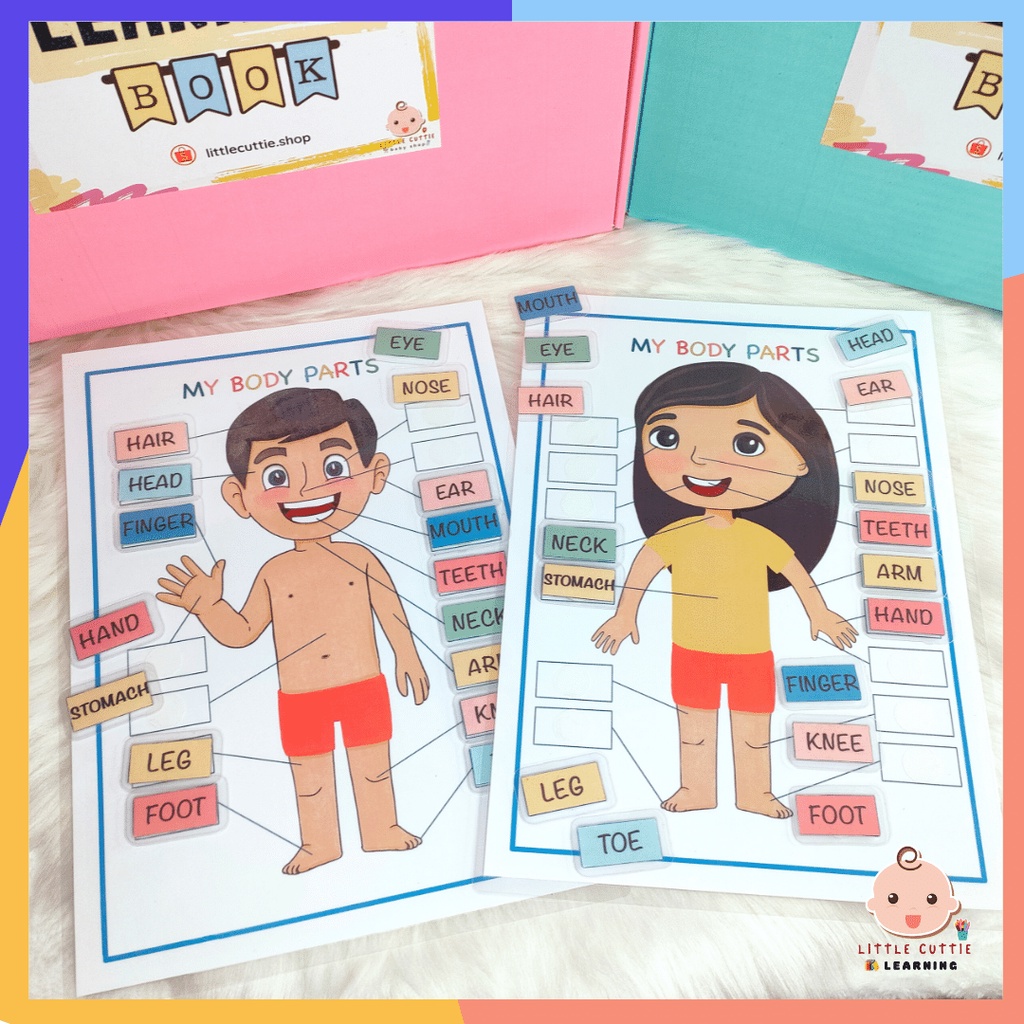 Kids Body Parts Recognition Body Parts Matching Montessori Early ...