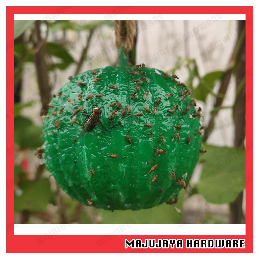 Fruitflies Sticky Trap Thrips White Flies Stinking Bug Perangkap Lalat ...