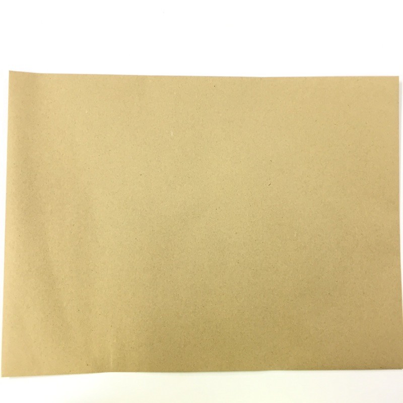 Lion File Envelope (Buff Manila, No Window) [E9M1216] - 1 piece ...