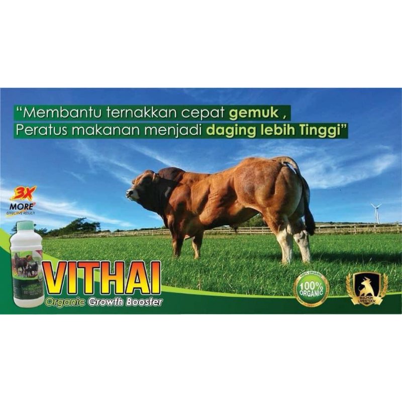 ViTHAi vitamin Organik pets warna cantik bulu berminyak penumbuhan ...