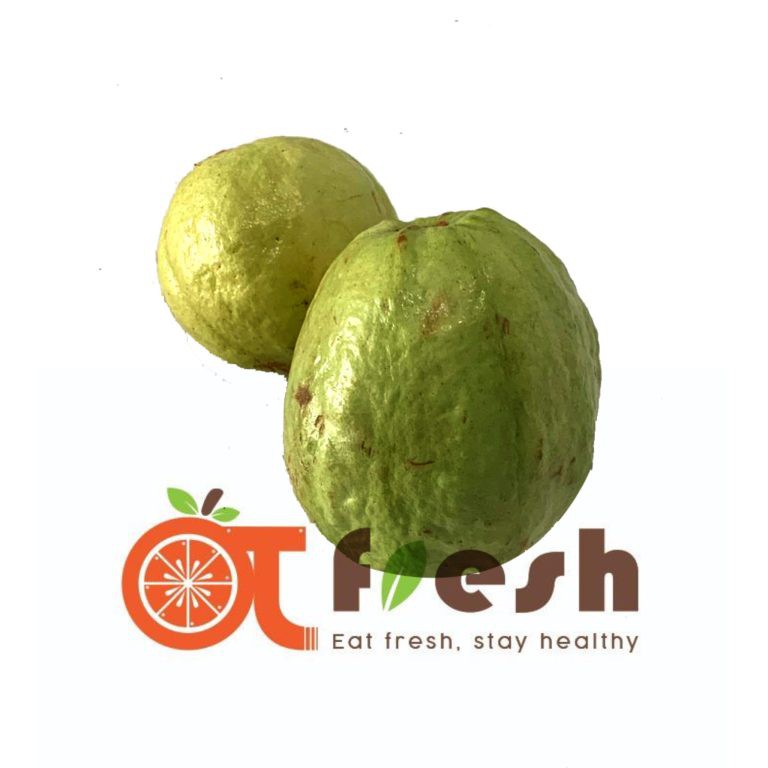 Guava Lohan 番石榴 (2nos) | Shopee Malaysia