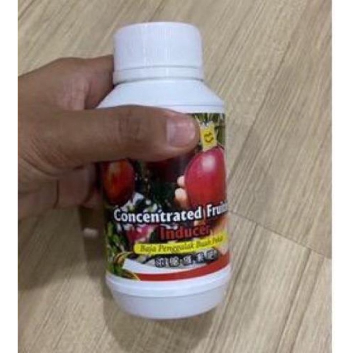 1pack 5 seeds Dutch cucumber timun belanda buah kecik rangup dan ...