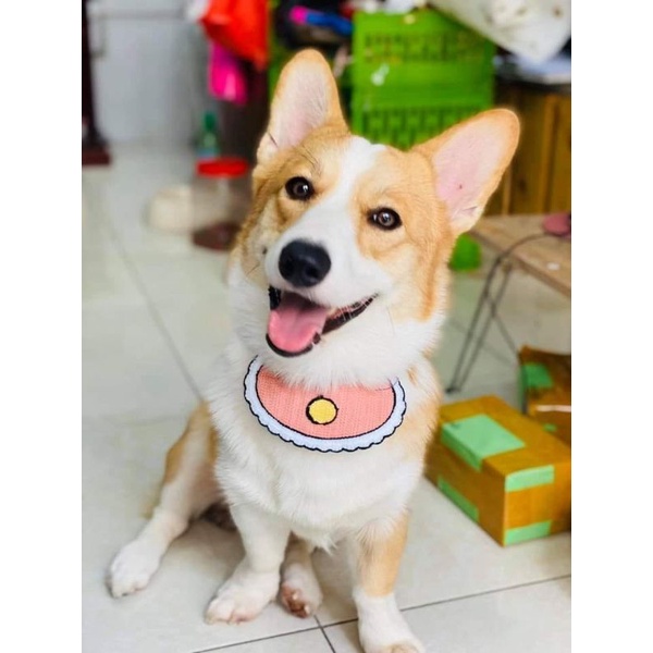 Super Cute Boss Overalls For Boss | Shopee Malaysia