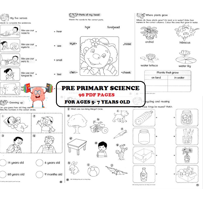285- (PDF)Science Worksheet for Pre Primary Kindergarten Softcopy ...