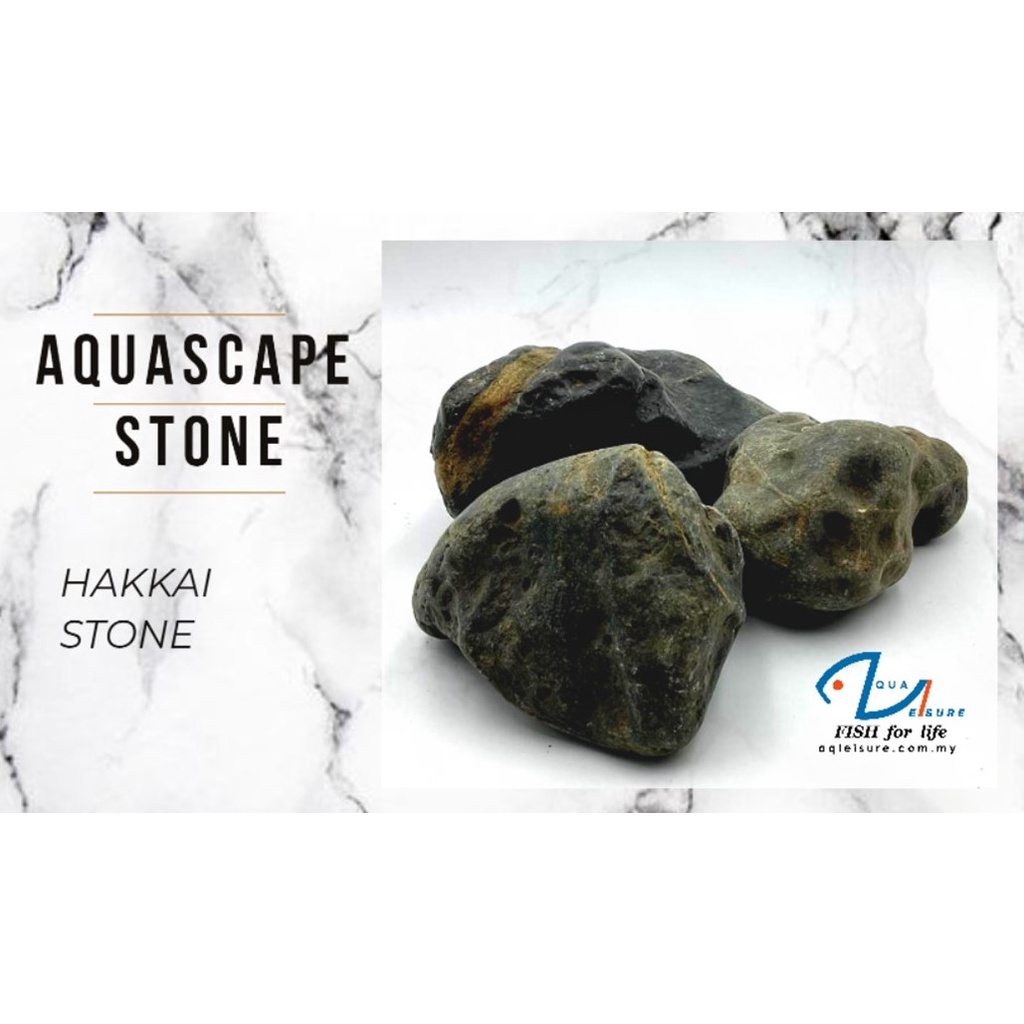 Hakkai Stone decoration for Aquascape | Shopee Malaysia