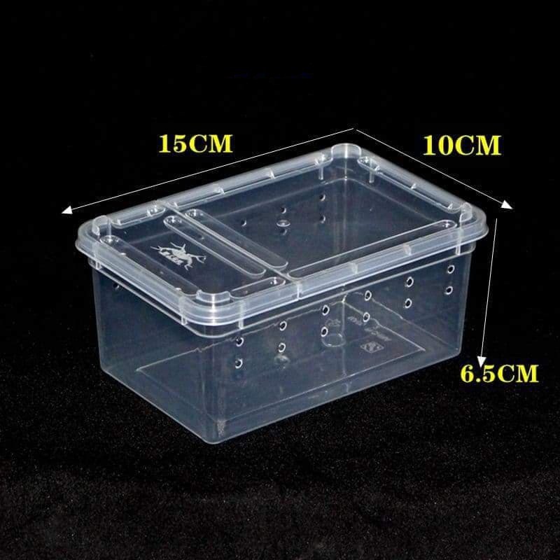 Rectangular pet box for pets, spiders, centipedes, mice, pacman frogs ...