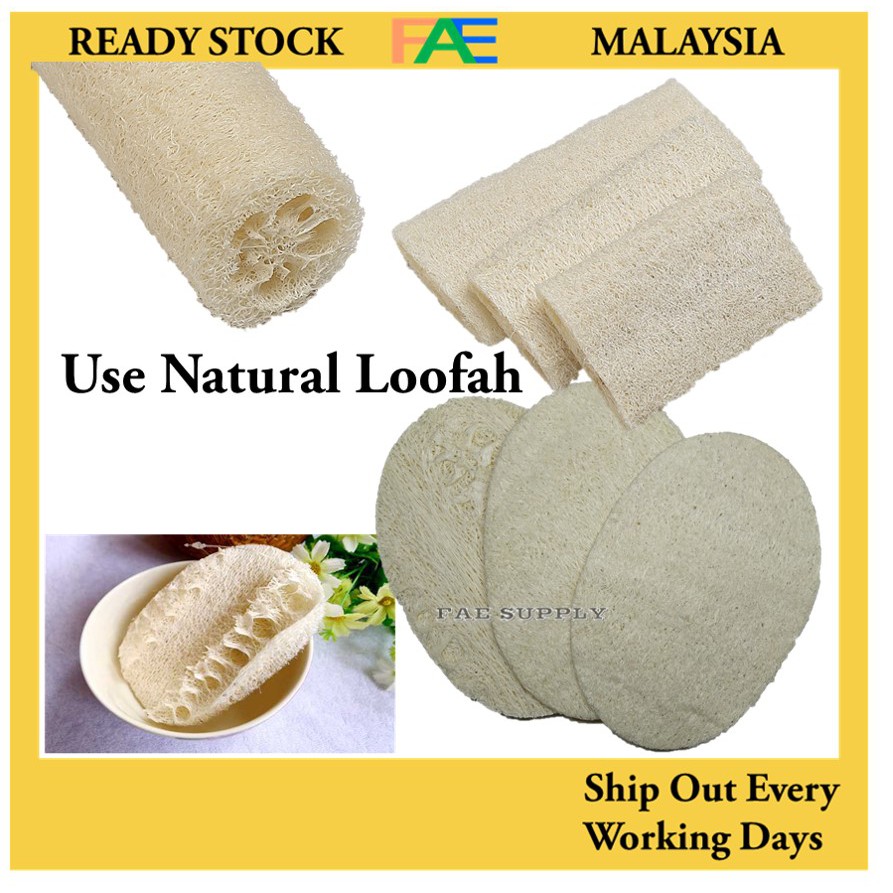 Natural White Exfoliating Loofah Sponge Dish sponge Bath Scrub log and ...