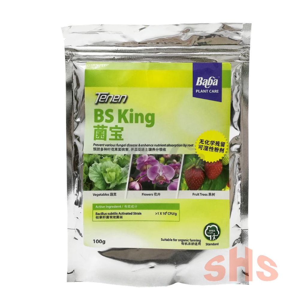 Baba BS King BACILLUS SUBTILIS 100g Organic Fungicide for Plants ...