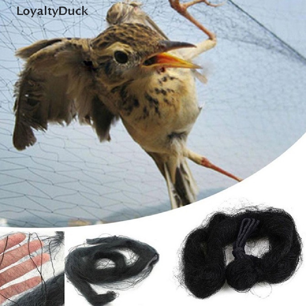 LoyaltyDuck Anti Bird Catcher Net Traps Crops Fruit Vegetables Mesh ...