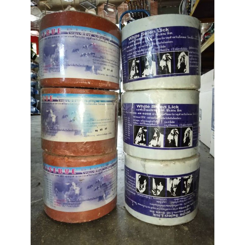 GARAM LEMBU (MERAH/PUTIH) + | Shopee Malaysia