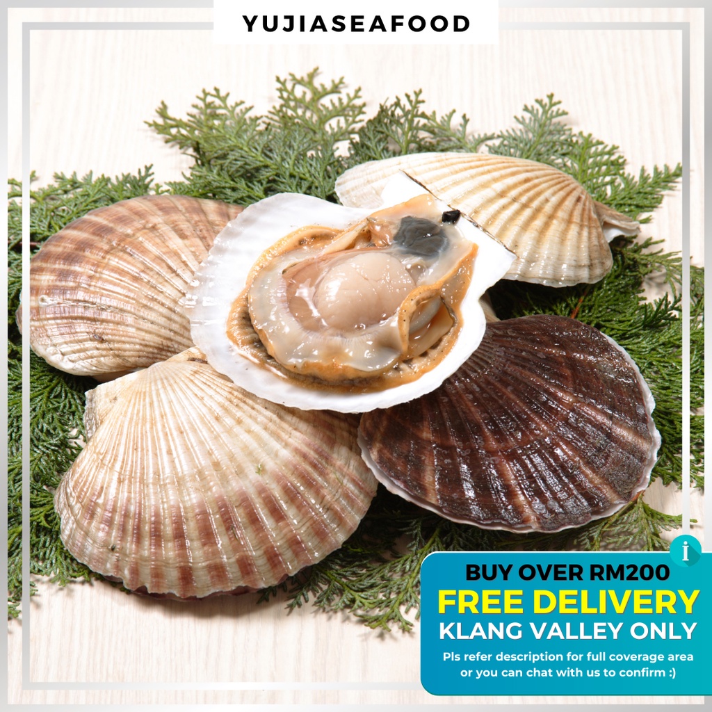 [KL&SGR SAHAJA] Giant Half Shell Scallop With Roe 8-9cm / Frozen ...