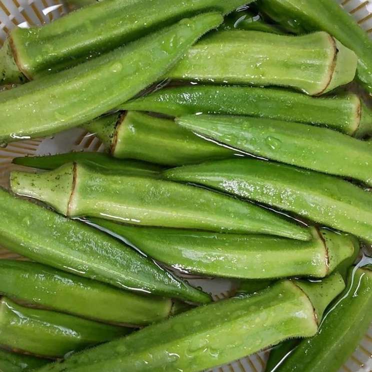 10 pcs benih bendi hijau okra vege seed benih sayur lady finger plant ...