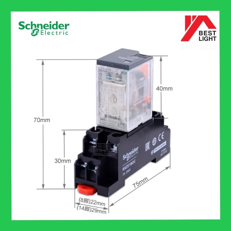 SCHNEIDER RELAY & SOCKET RXZE1M2C (7A 250v) RXM2LB2BD (24VDC) | Shopee Malaysia