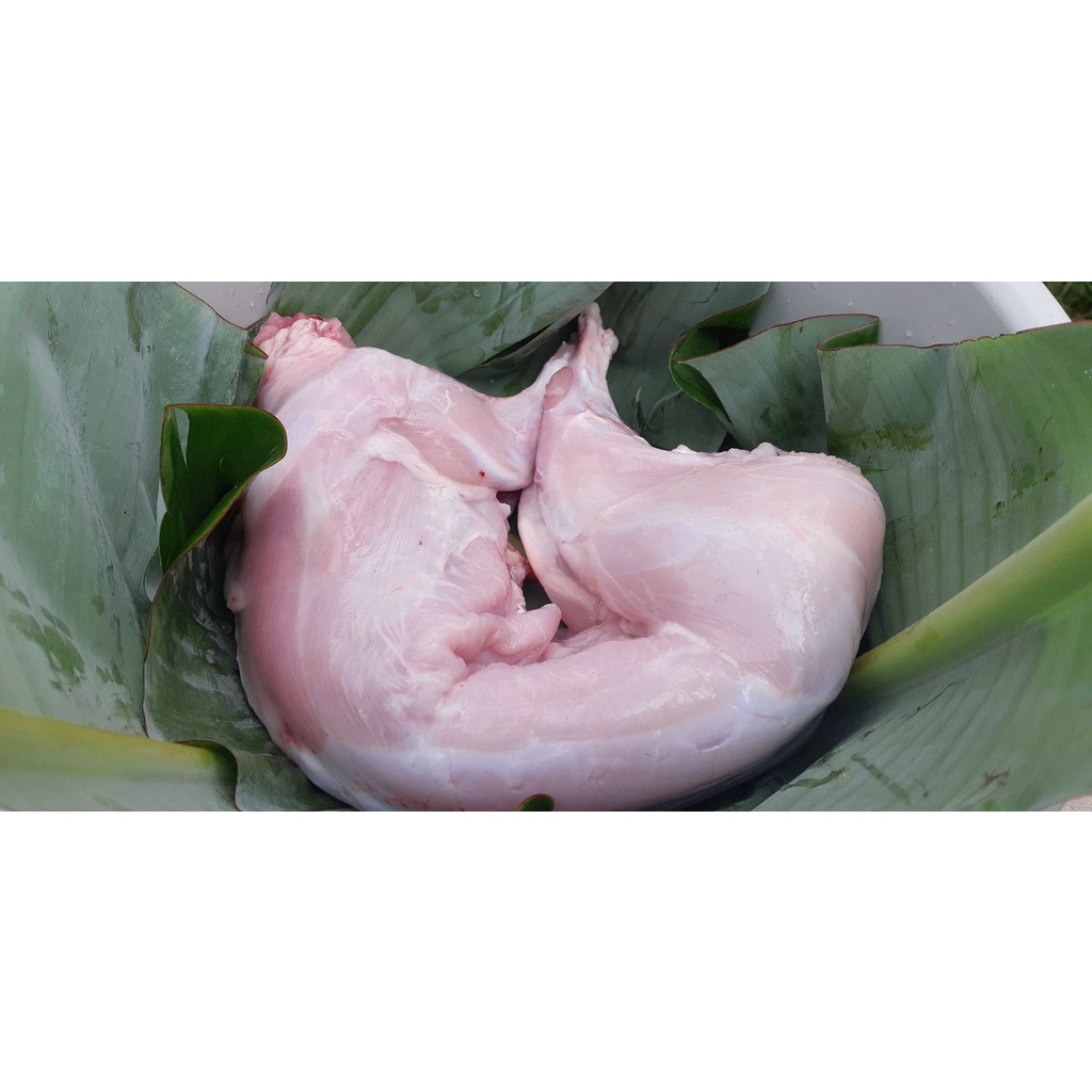 DAGING ARNAB SEGAR SE EKOR / FRESH RABBIT MEAT WHOLE (Radius jarak 10km ...