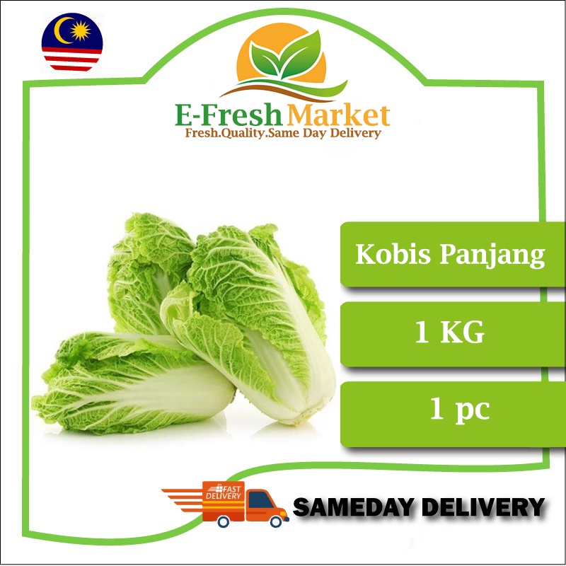🔥Lowest Price🔥Fresh Vegetable China Long Cabbage / Kobis Panjang - 1kg ...