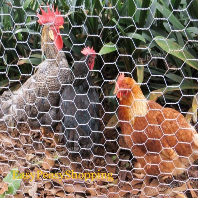(1 Meter) 1/2" × 1/2" Hot Dip Galvanized Hexagon Wire Mesh /Dawai ...