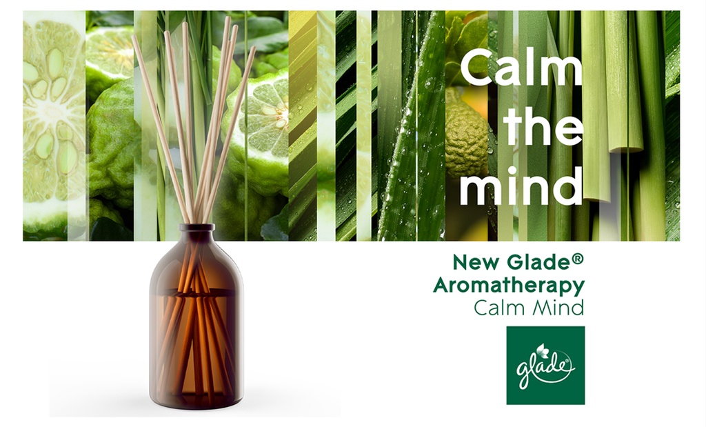 Glade Aromatherapy Reed Diffuser Lemongrass 80ml | Shopee Malaysia