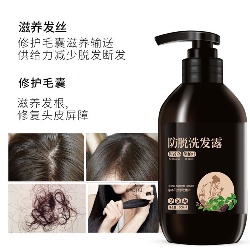 Selangor Post 🇲🇾 300ML Qianzi 倩滋Ginger Prevent hair loss shampoo 生姜防脱洗发水he shou wu shampoo 育发何首乌 ...