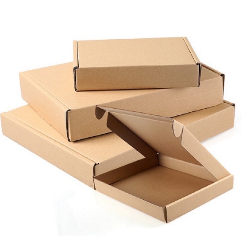 Add on Carton Box Photo Packing for Extra Protection ｜20x14x4cm ...