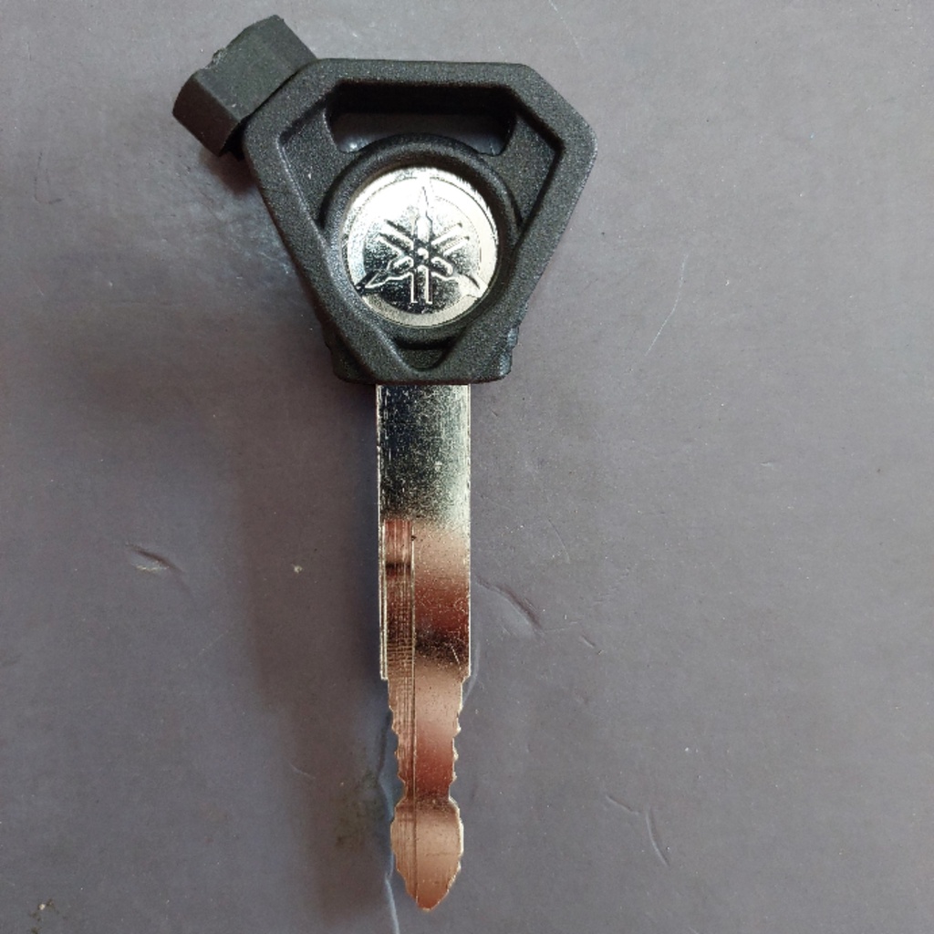 Perodua Transponder Key with immobilize chip | Shopee Malaysia