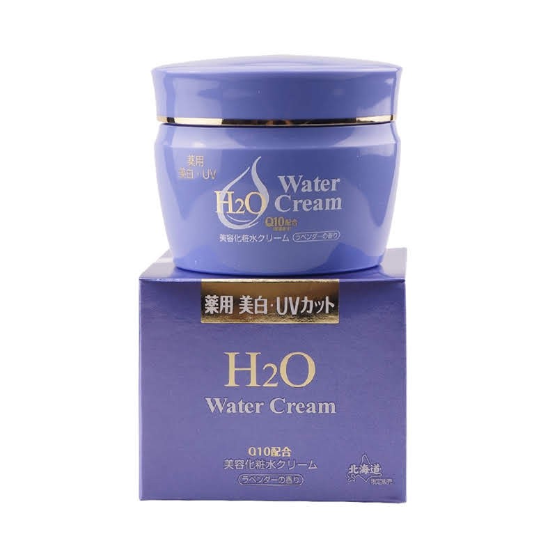 Hokkaido Medicated H2O Water Cream 北海道 出水霜 Q10 150g(ready stock ...