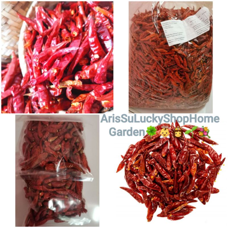 🇹🇭Chilli Kering Thai / Chili Kering Pedas / Thailand Dried Chili Chili ...