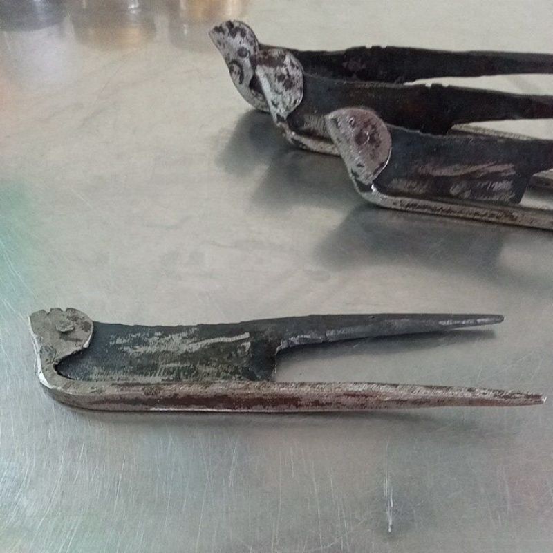 KACIP PINANG SEBATANG. | Shopee Malaysia