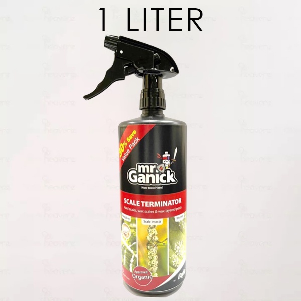 BABA Mr Ganick Dr. Neem Scale Terminator Super Margosa Racun Serangga ...