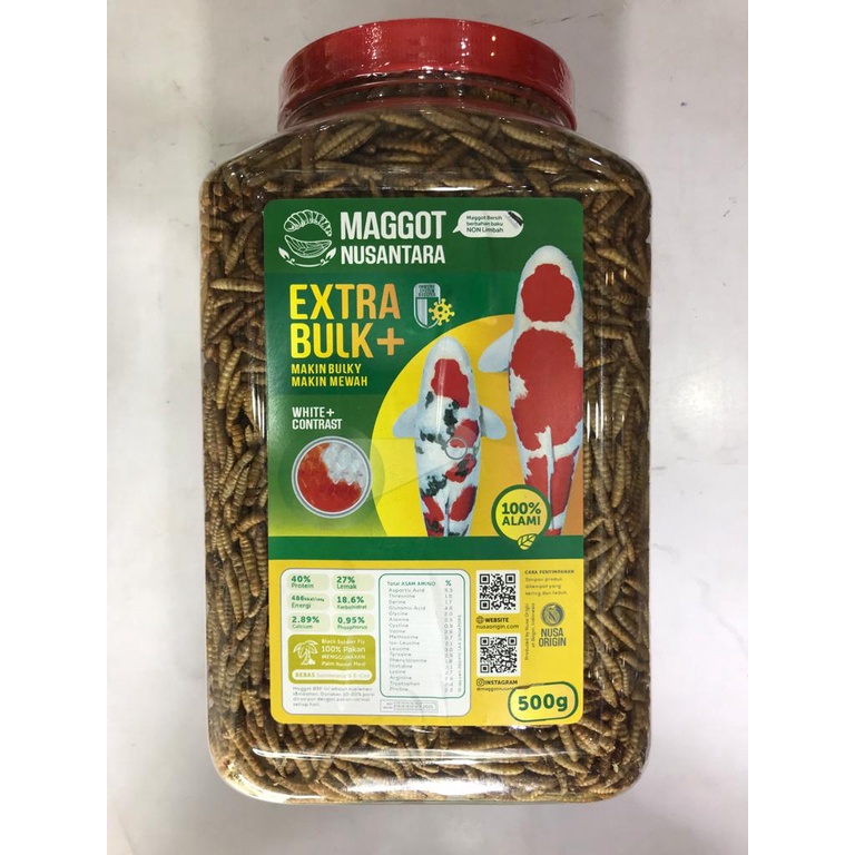 Maggot NUSANTARA 500GR Natural KOI Feed EXTRA BULKY MAGGOT KOI Fish ...