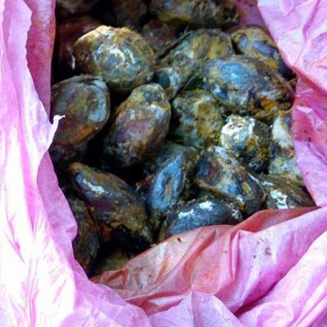 Sawit Peram (Makanan kesukaan Ikan Temelian/Temoleh) | Shopee Malaysia