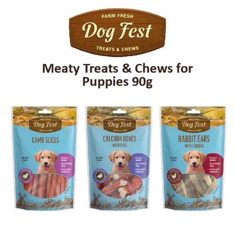 Dog Fest Meaty Treats & Chews for Puppies - 90g | Shopee Malaysia